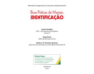 Manual de Identificação de Gado de Corte | PDF