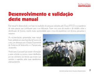 Manual de Identificação de Gado de Corte | PDF