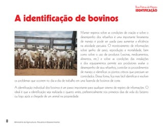 Manual de Identificação de Gado de Corte | PDF