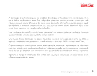 Manual de Identificação de Gado de Corte | PDF