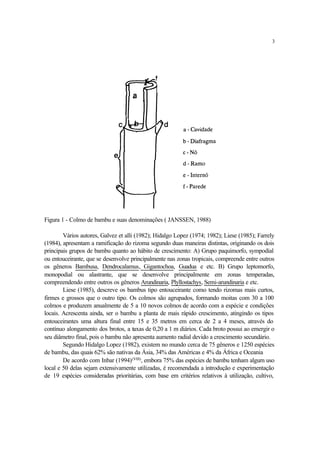 Manual irrigacao-com-bambu | PDF