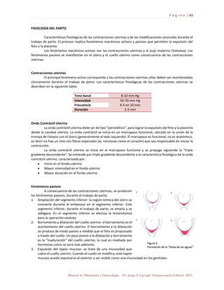 Manual-Obstetricia-y-Ginecologia-2023-FINAL_compressed.pdf
