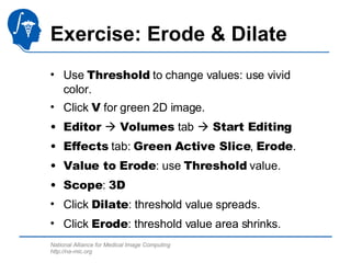 Manual Segmentation-3747 | PPT