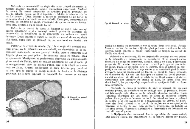 Manual tehn-prod-cofet-pat-1974 | PDF