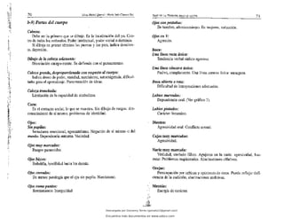manual-test-persona-bajo-la-lluvia | PDF