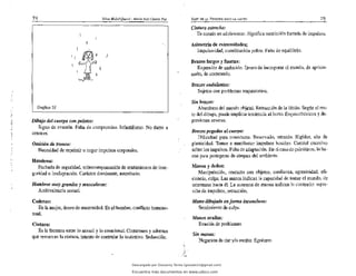 manual-test-persona-bajo-la-lluvia | PDF