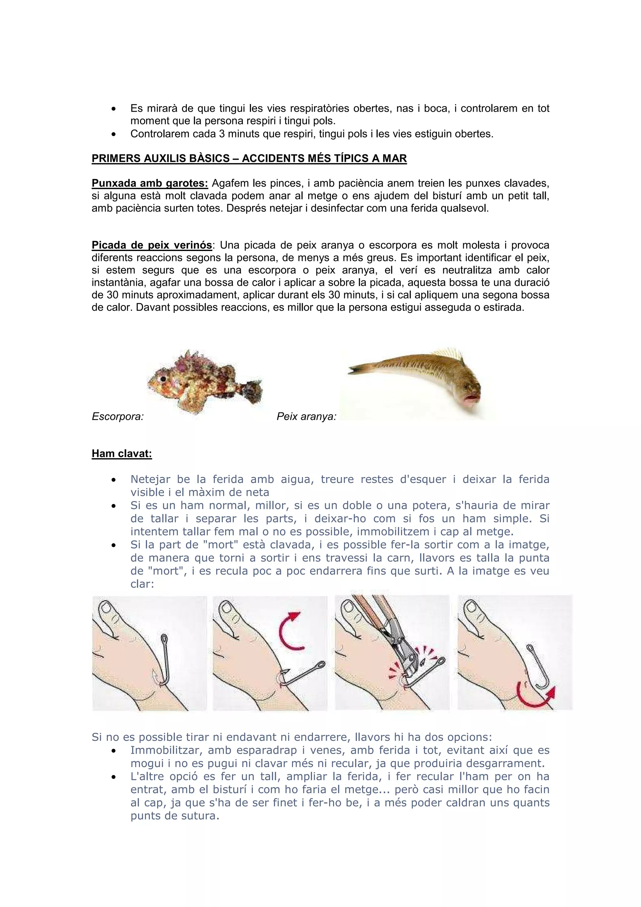 manual primers auxilis | PDF