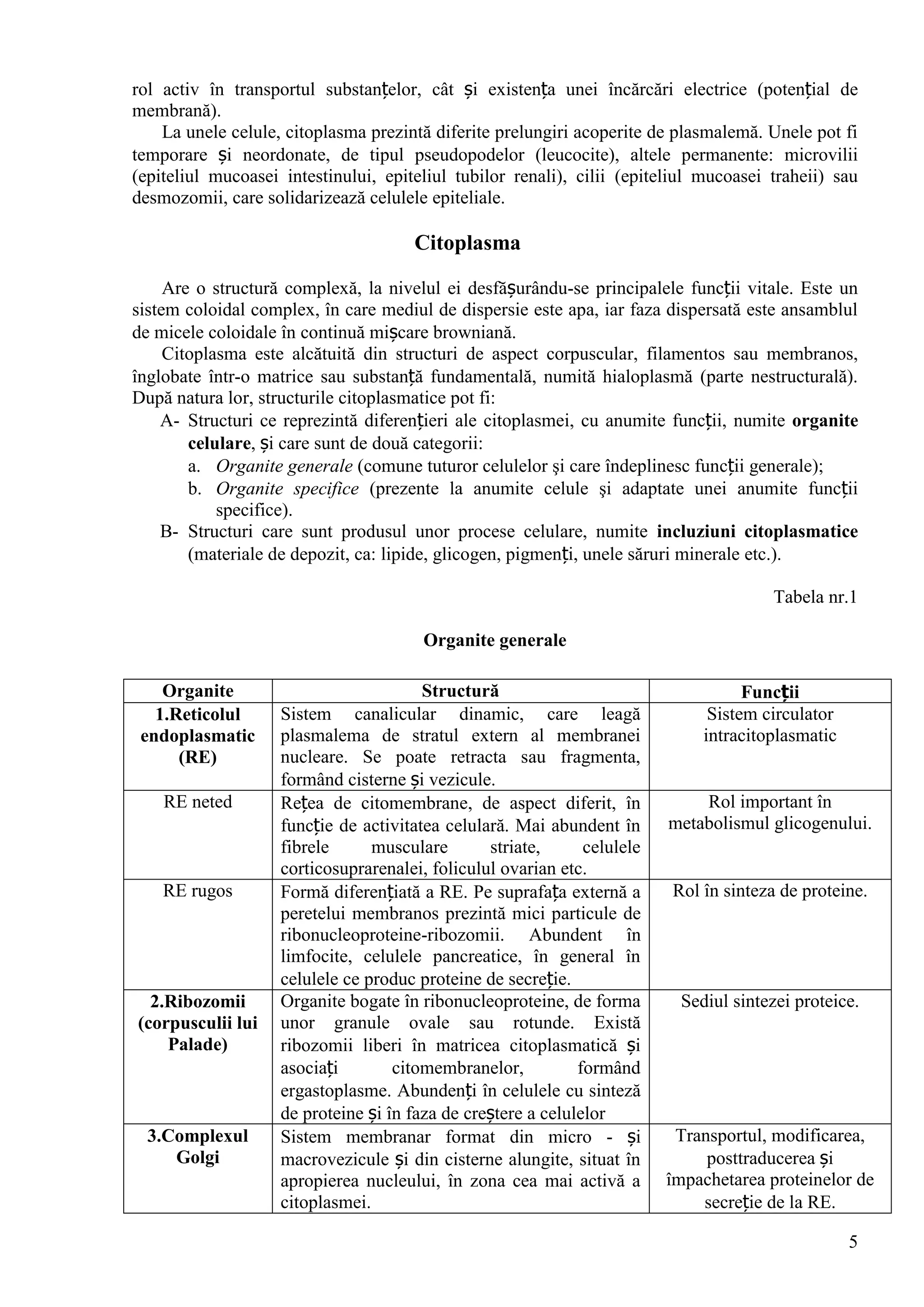 Manual anatomie | PDF