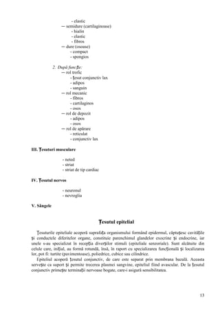 Manual anatomie | PDF
