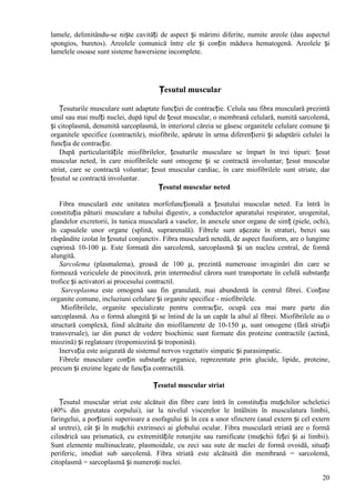 Manual anatomie | PDF