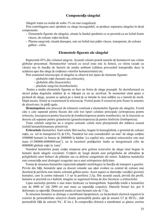 Manual anatomie | PDF