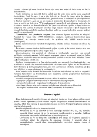 Manual anatomie | PDF