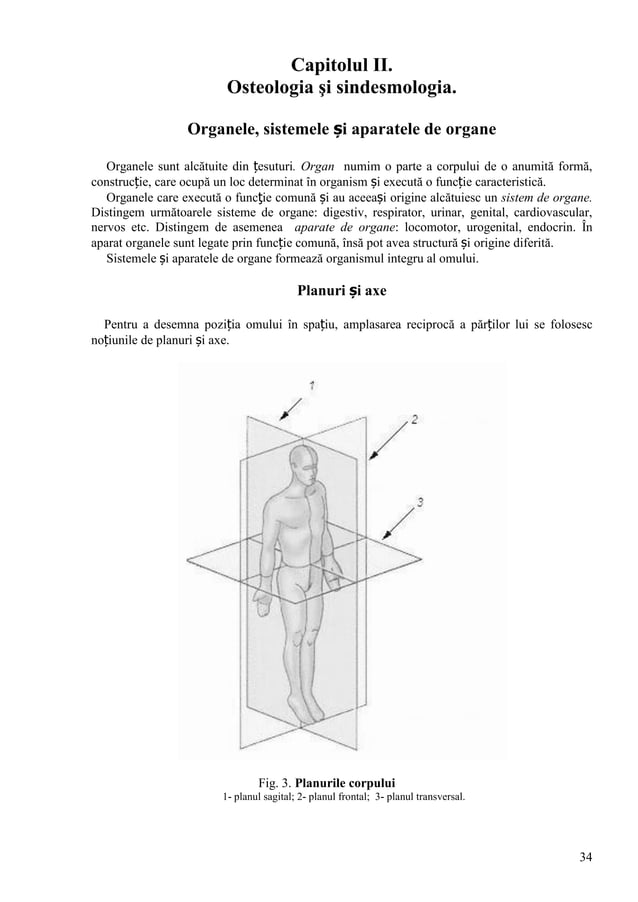 Manual anatomie | PDF
