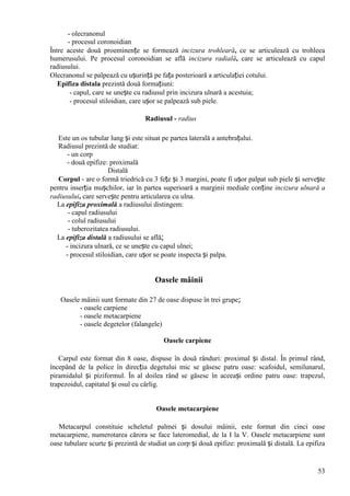 Manual anatomie | PDF