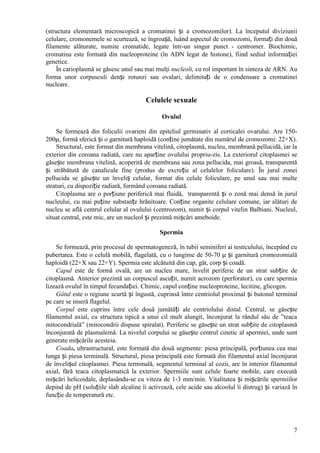 Manual anatomie | PDF