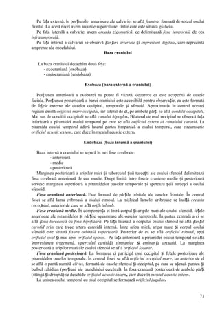 Manual anatomie | PDF