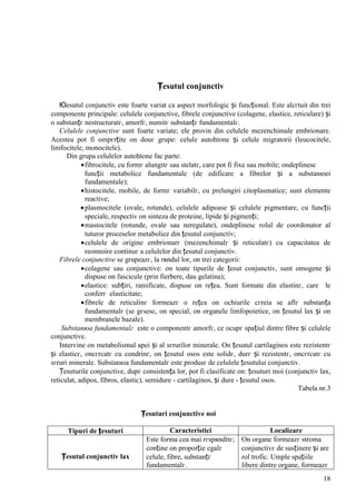 Manual anatomie | PDF