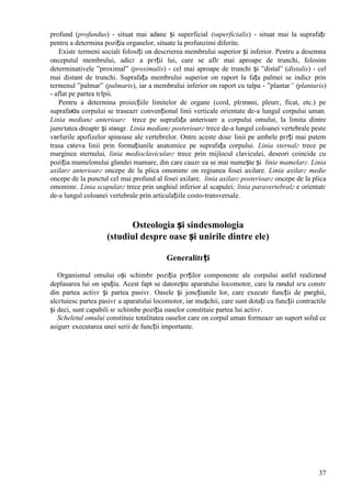 Manual anatomie | PDF