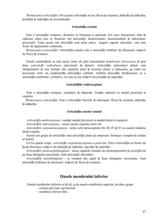 Manual anatomie | PDF