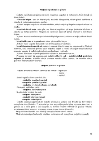 Manual anatomie | PDF