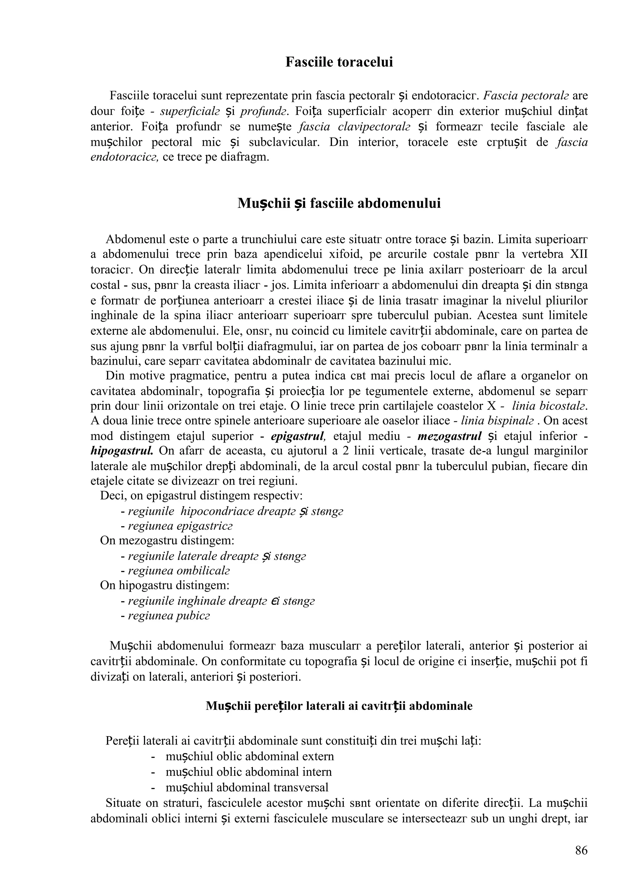 Manual anatomie | PDF