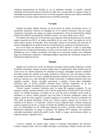 Manual anatomie | PDF