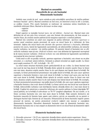 Manual anatomie | PDF