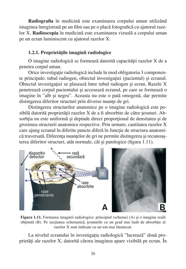 MANUAL Anul 3 Radiologie si radioprotectie_0.pdf