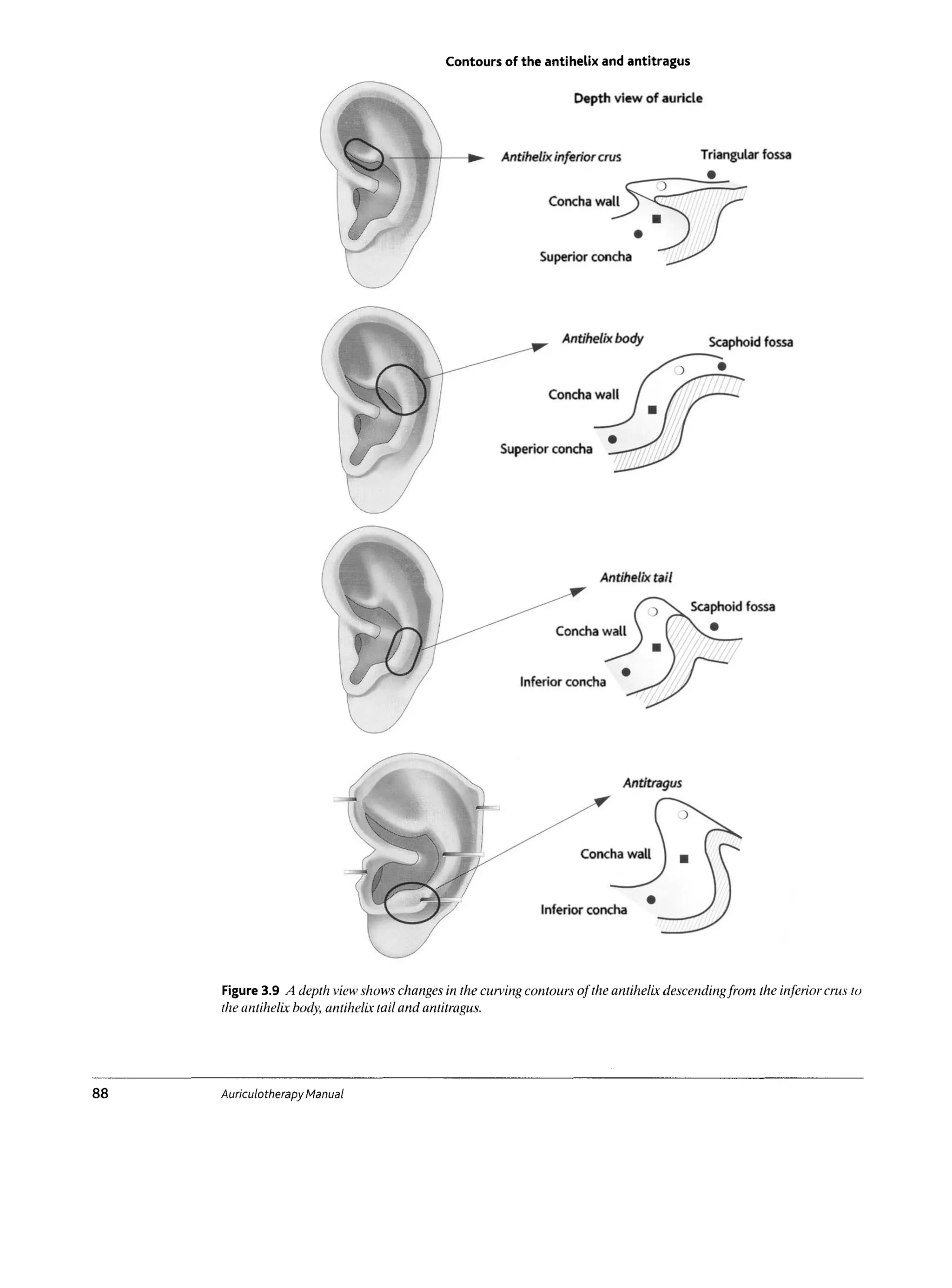 Manual auriculotherapy chinese and western systems of ear | PDF