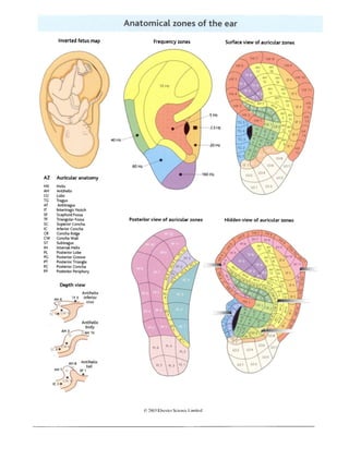 Manual auriculotherapy chinese and western systems of ear | PDF