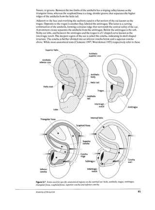Manual auriculotherapy chinese and western systems of ear | PDF