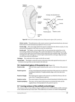 Manual auriculotherapy chinese and western systems of ear | PDF