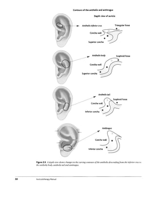 Manual auriculotherapy chinese and western systems of ear | PDF