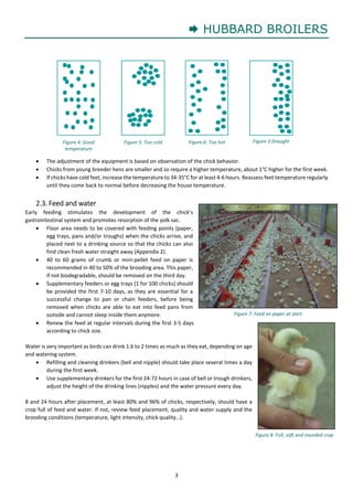 Manual broiler management | PDF