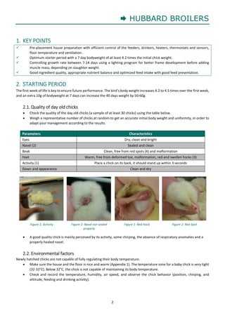 Manual broiler management | PDF
