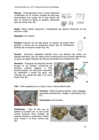 Manual campo líquenes y hongos | PDF