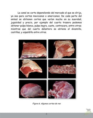 Manual carne de res mexicana | PDF
