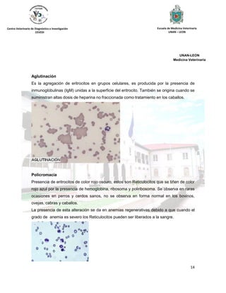 Manual clinico veterinario esc veterinaria unan león | PDF