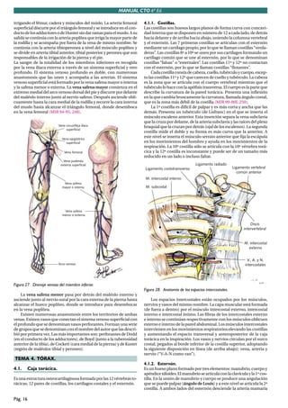 Manual Cto AnatomíA | PDF