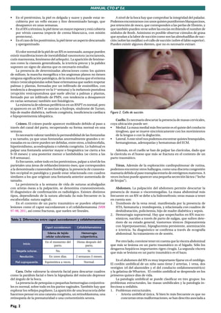 Manual cto 6ed pediatría | PDF