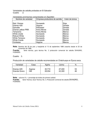 Manual cultivo cebolla | DOC