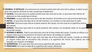 manual de anatomia humana estudiante.pptx
