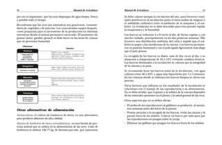 Manual de avicultura.pdf