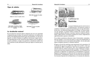 Manual de avicultura.pdf