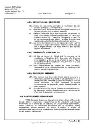 Manual de calidad | PDF