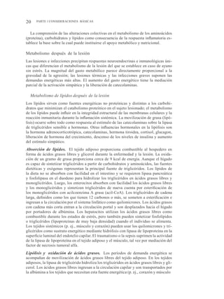 Manual de cirugía - Schwartz.pdf