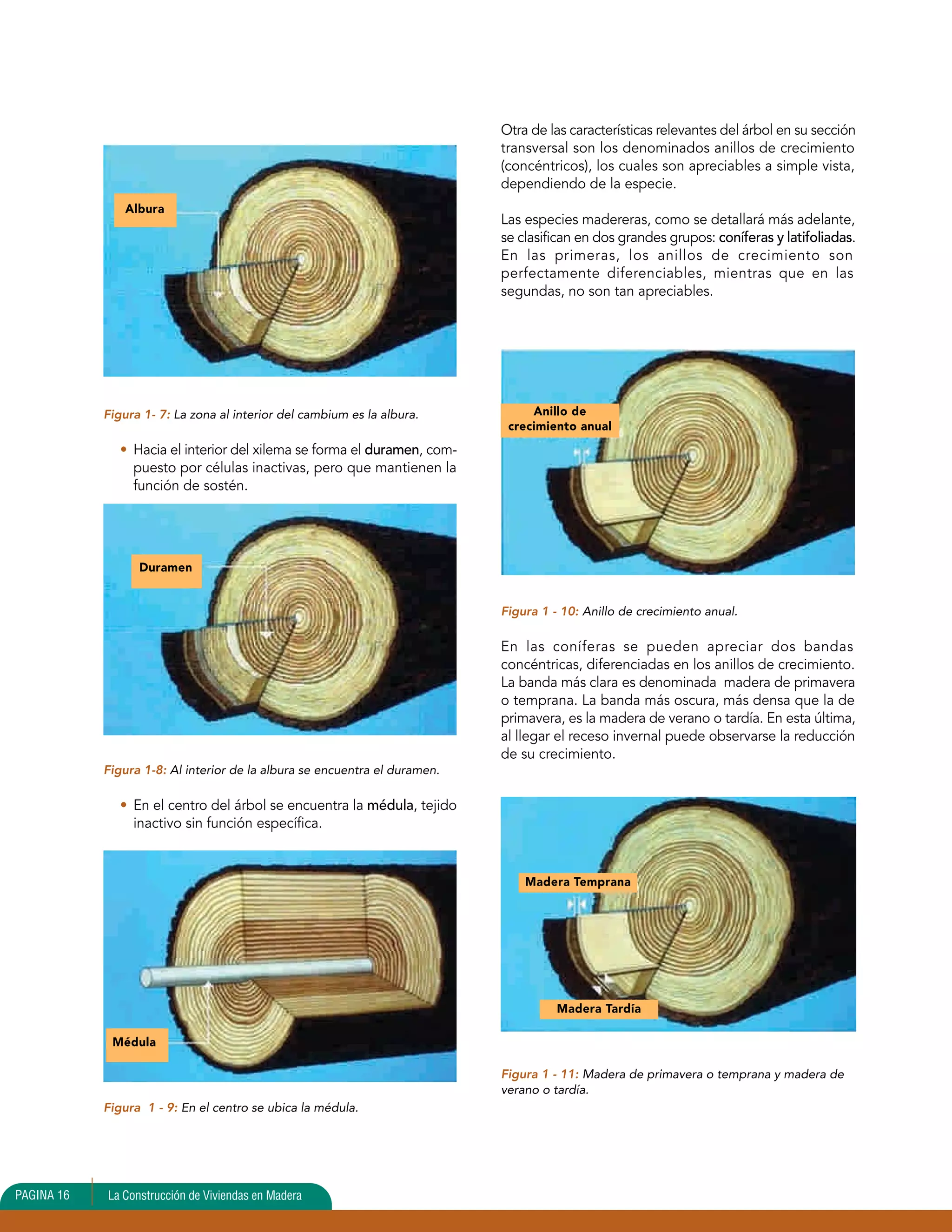Manual de Construccion en Madera, Casas en Madera | PDF