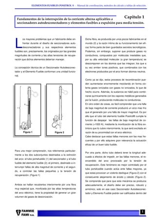 Manual de coordinacion_completo | PDF