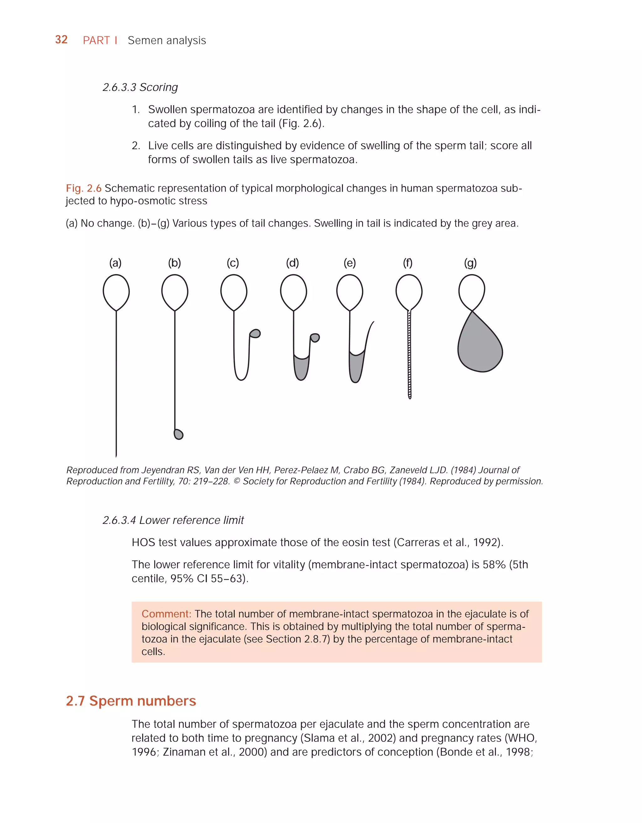 Manual de espermograma oms | PDF