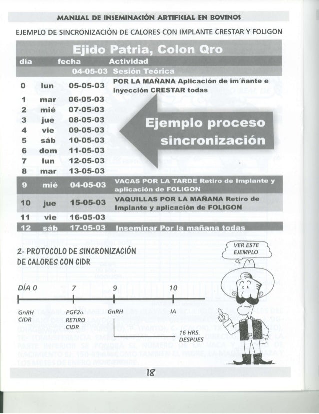 Manual Para Inseminacion Artificial En Bovinos Video - occupyneon